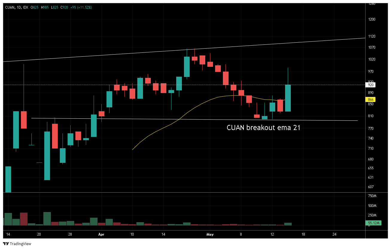 Saham: DGIK - PT. Nusa Konstruksi Enjiniring Tbk. | Stockbit