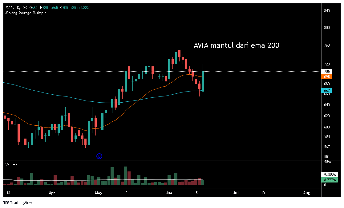 Saham: AVIA - PT. Avia Avian Tbk. | Stockbit
