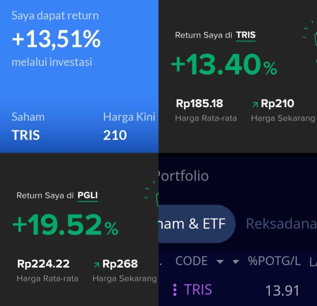 Saham: PGLI - PT. Pembangunan Graha Lestari Indah Tbk. | Stockbit