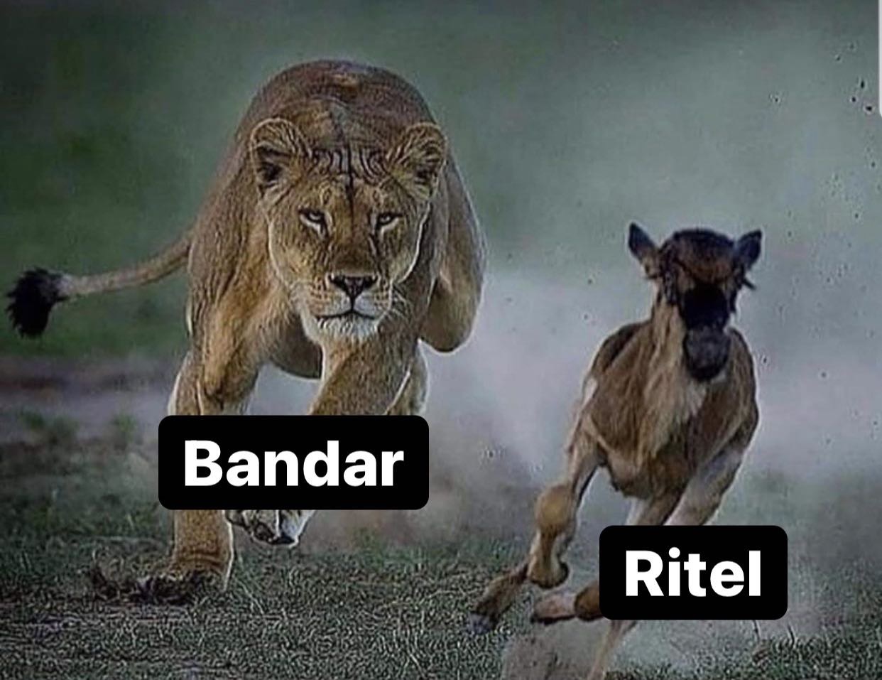 Saham: PADI - PT. Minna Padi Investama Sekuritas Tbk. | Stockbit