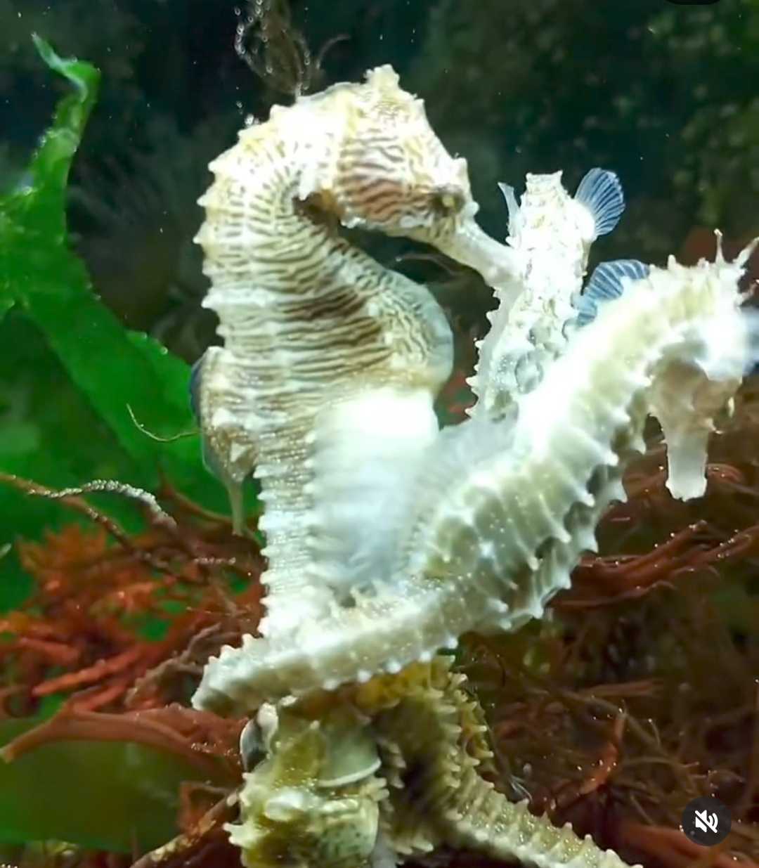 Saham: TKIM - PT. Pabrik Kertas Tjiwi Kimia Tbk. | Stockbit